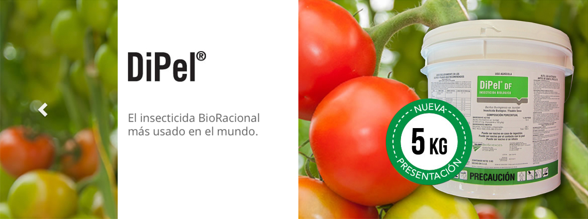 Valent de México :: Productos Insecticidas